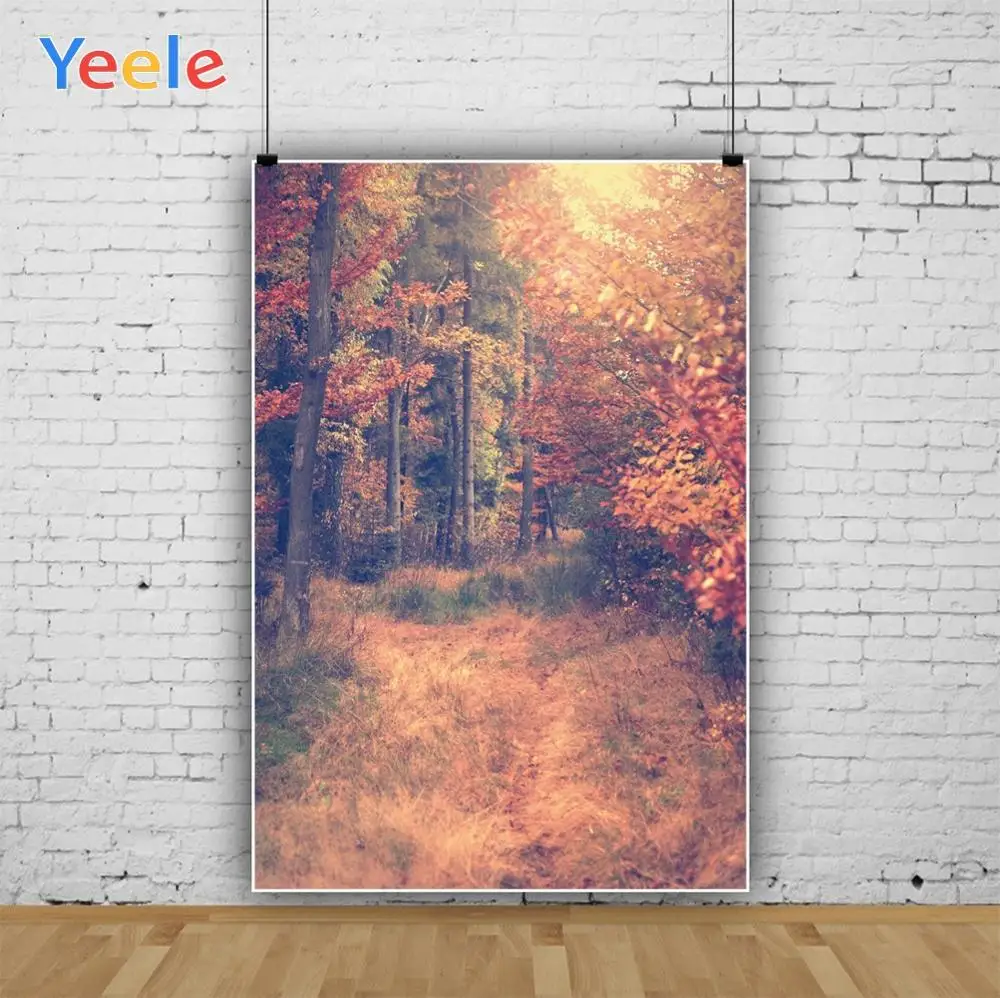 Yeele Photography Backdrops Autumn Forest Trees Weed Scenery ...