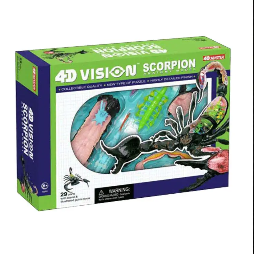 4D-Master-Vision-Scorpion-Model-ANATOMY-MODEL-dissection-skull-brain ...