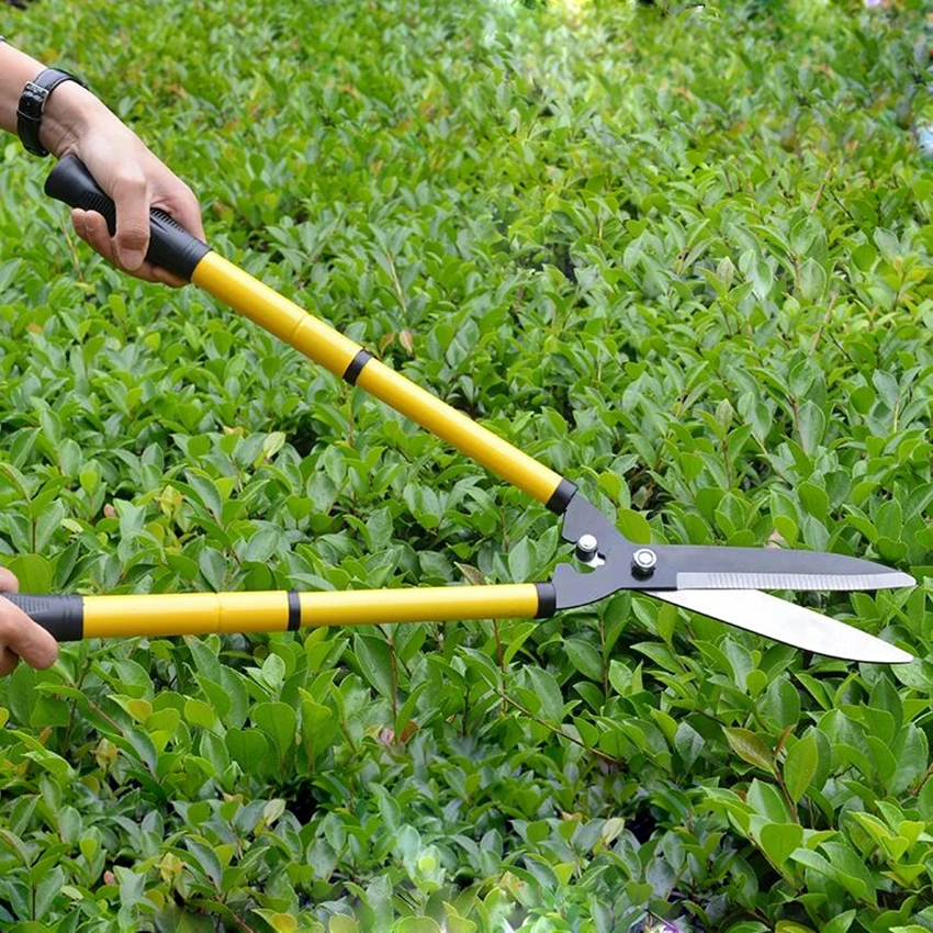 Buy Long Handle Loppers Fruit Tree Pruning Shears