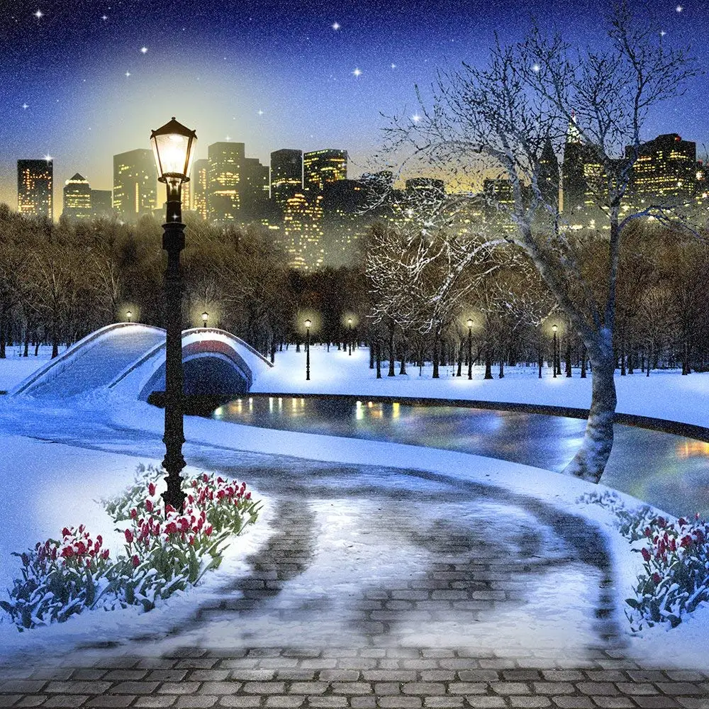 Winter City Backgrounds