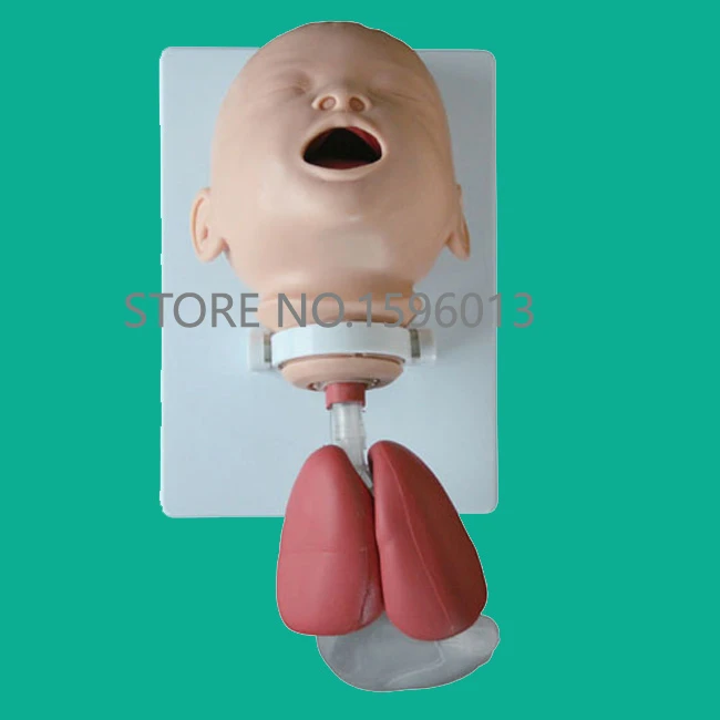 Infant Intubation Training Head Model, Neonate/Newborn baby Intubation ...