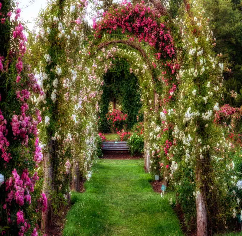 pink flower leaves arch door spring garden green garss backdrops Vinyl ...