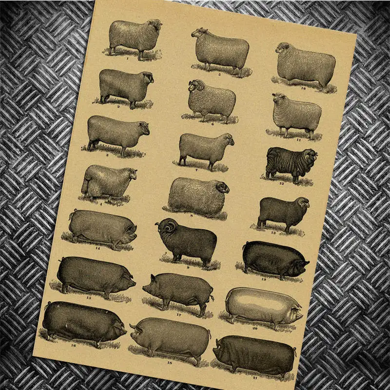 VINTAGE SHEEP Animal Posters of famous scenic spots Nostalgia kraft ...