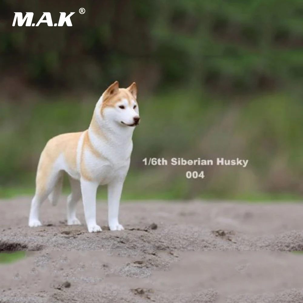 In Stock 1/6 Scale Action Figure Accessory Siberian Husky Simulation ...