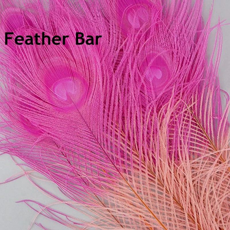 Pink Peacock Feather Background