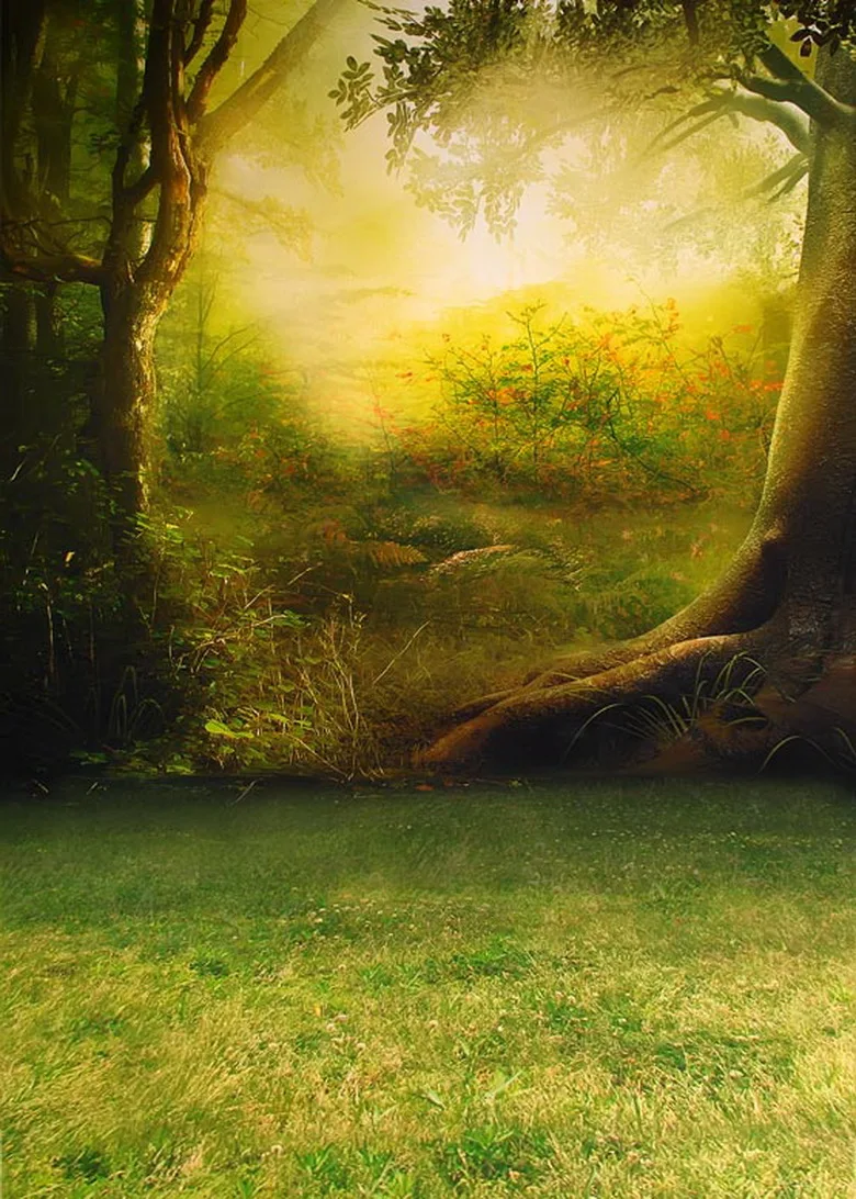 Foggy Forest Background Wonderland Photography Backdrops For Photo ...