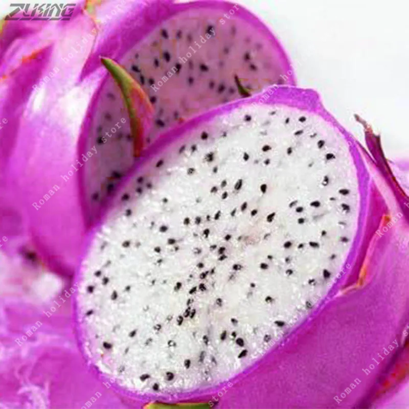 200 Pcs Seeds Rare Mini Pitaya Pink Tropical Dragon Fruit – GreenSeedGarden