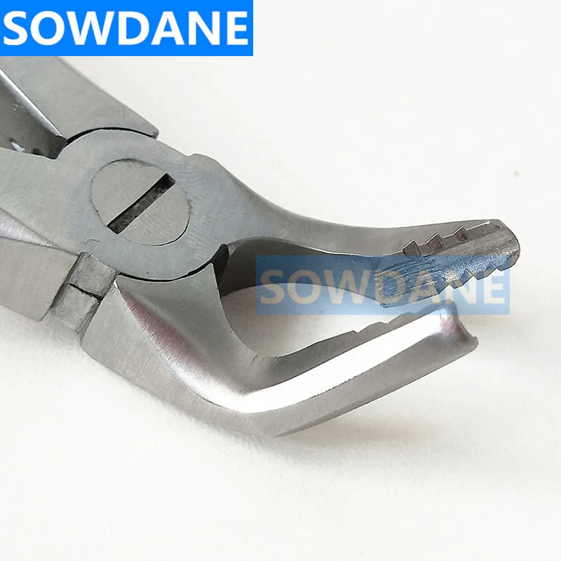 Higher Stainless steel Dental Adult Teeth Extraction Forcep for Upper ...