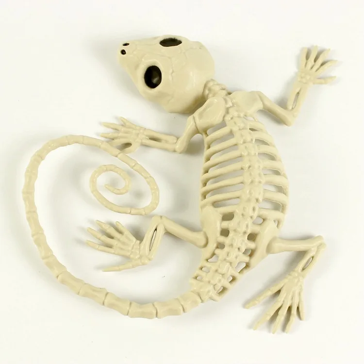 Skeleton Gecko Bones For Horror Halloween Party Bar Home Decor ...