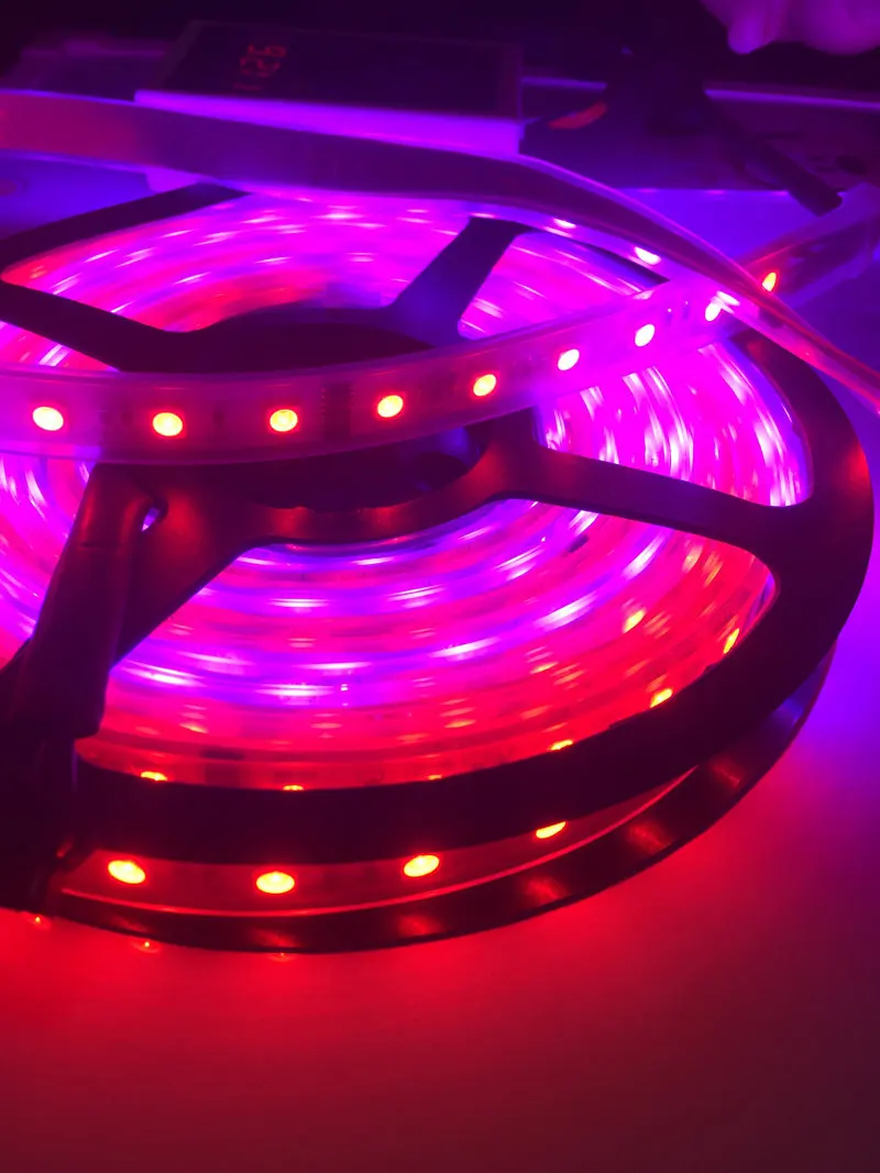 5M-12V-TM1812-Digital-flexible-1812IC-5050SMD-RGB-LED-Light-Strip-Dream ...