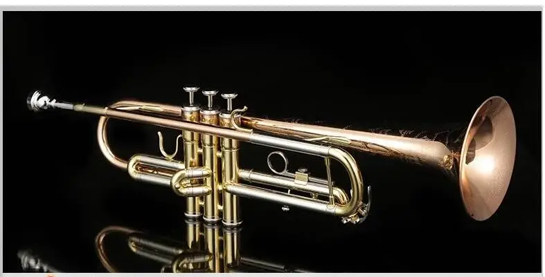 Gold Instruments / Gold Plastic Musical Instruments | The Gold Gym Xr30