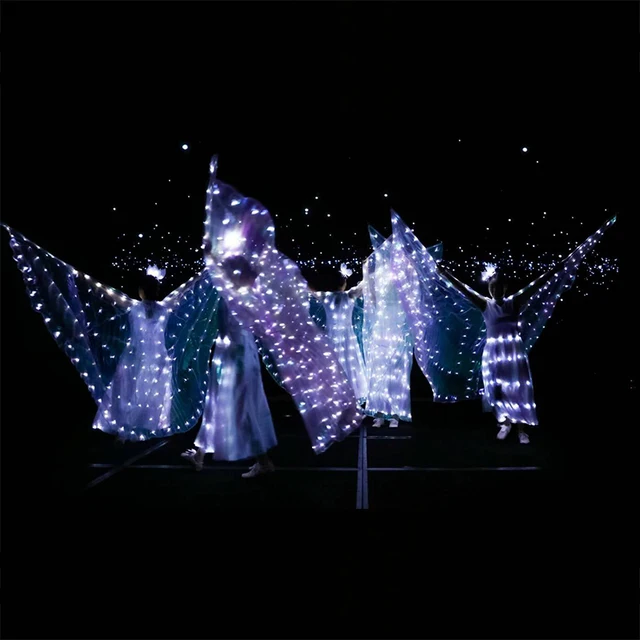 Ruoru Belly Dance Led Isis Wings with Adjustable Sticks Accessories ...