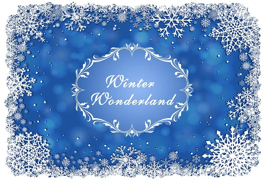Blue Winter Wonderland Backdrop Vinyl Printed White Snowflakes ...