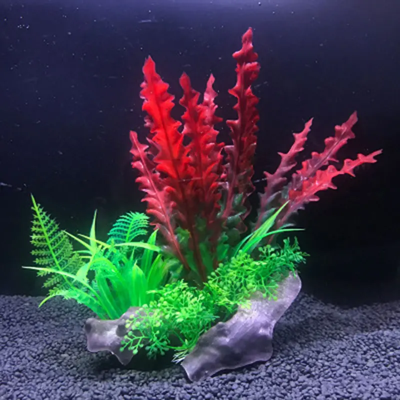 Colorful Freshwater Aquarium Plants