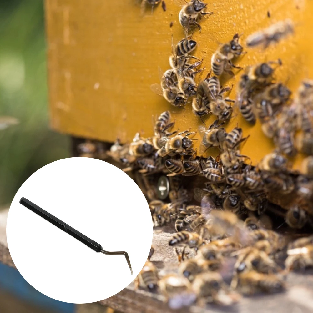 Business & Industrial Beekeeping Dual Head Bee Needle Rearing Bee ...