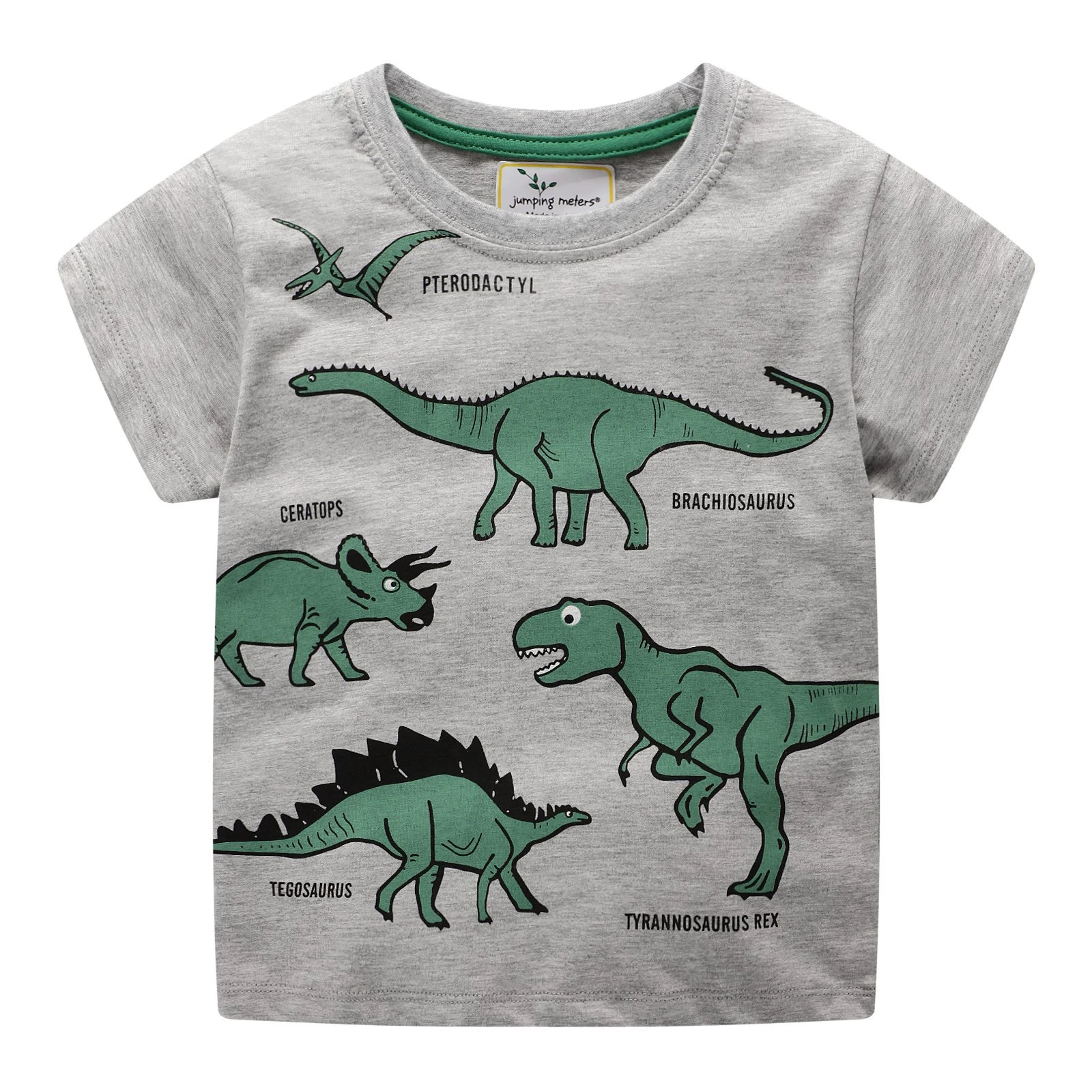 Dinosaur T Shirts For Adults