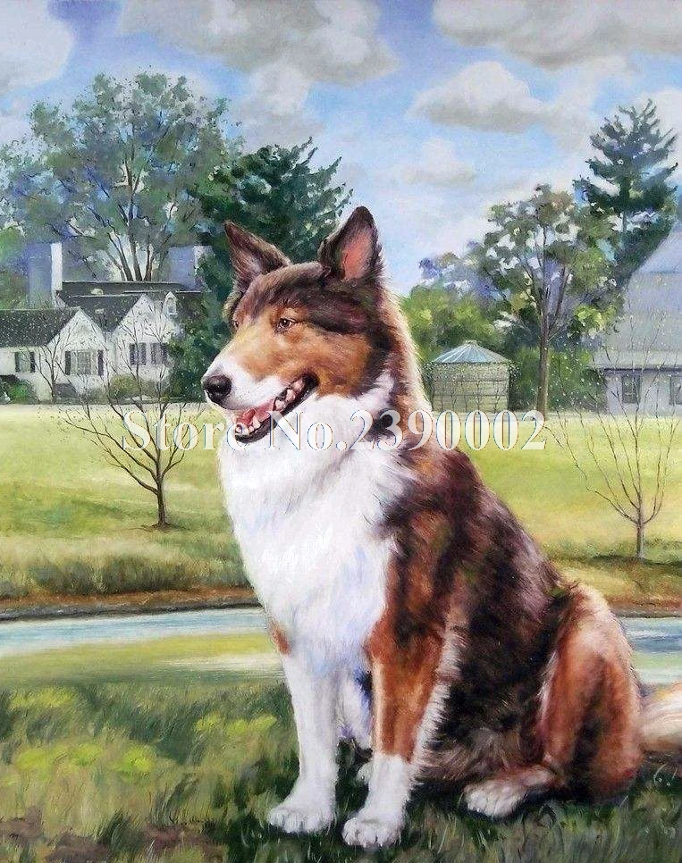 5D DIY Алмазная картина боксер Алмазная вышивка бордюр колли полная ...