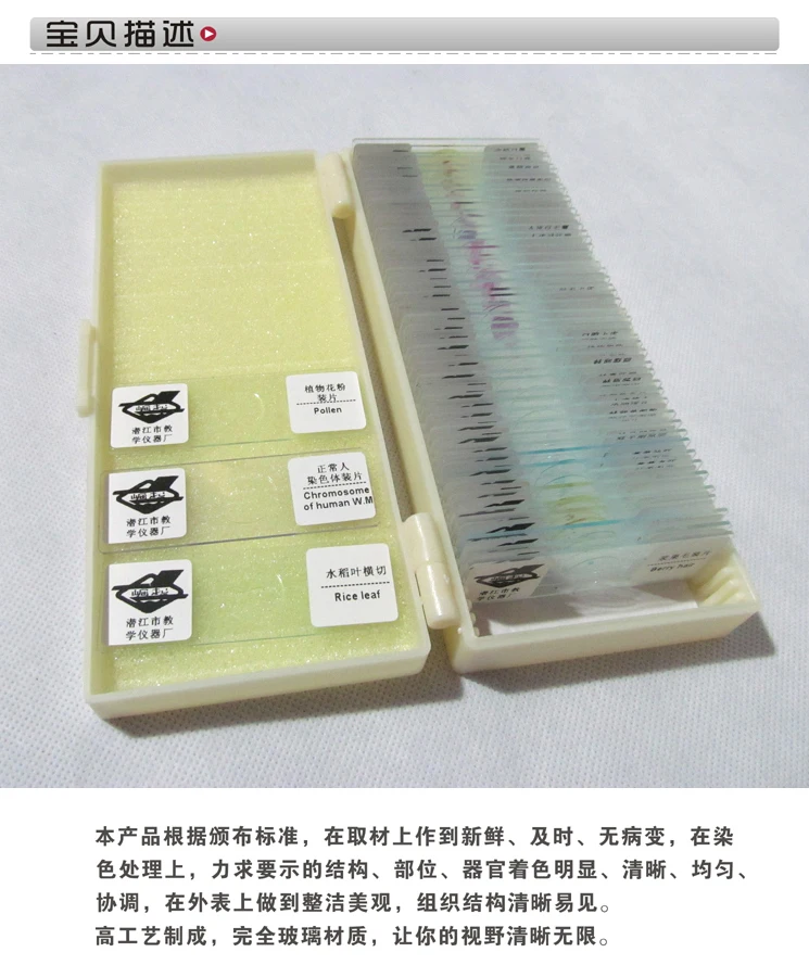 Biology 50 pieces prepared glass microscope slide school and laboratory ...