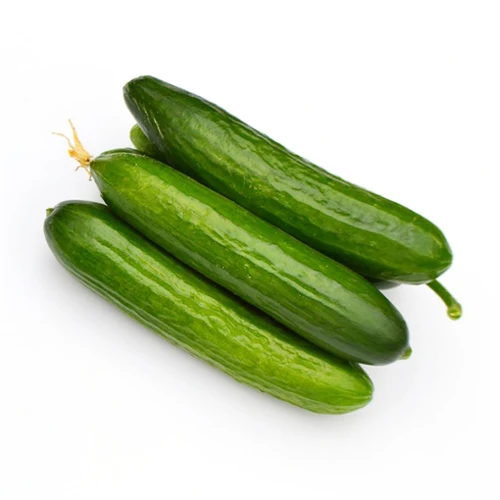 5 Pack 25 Seed Dutch Cucumber Seeds Cucumis Sativus Holland Cucumber ...