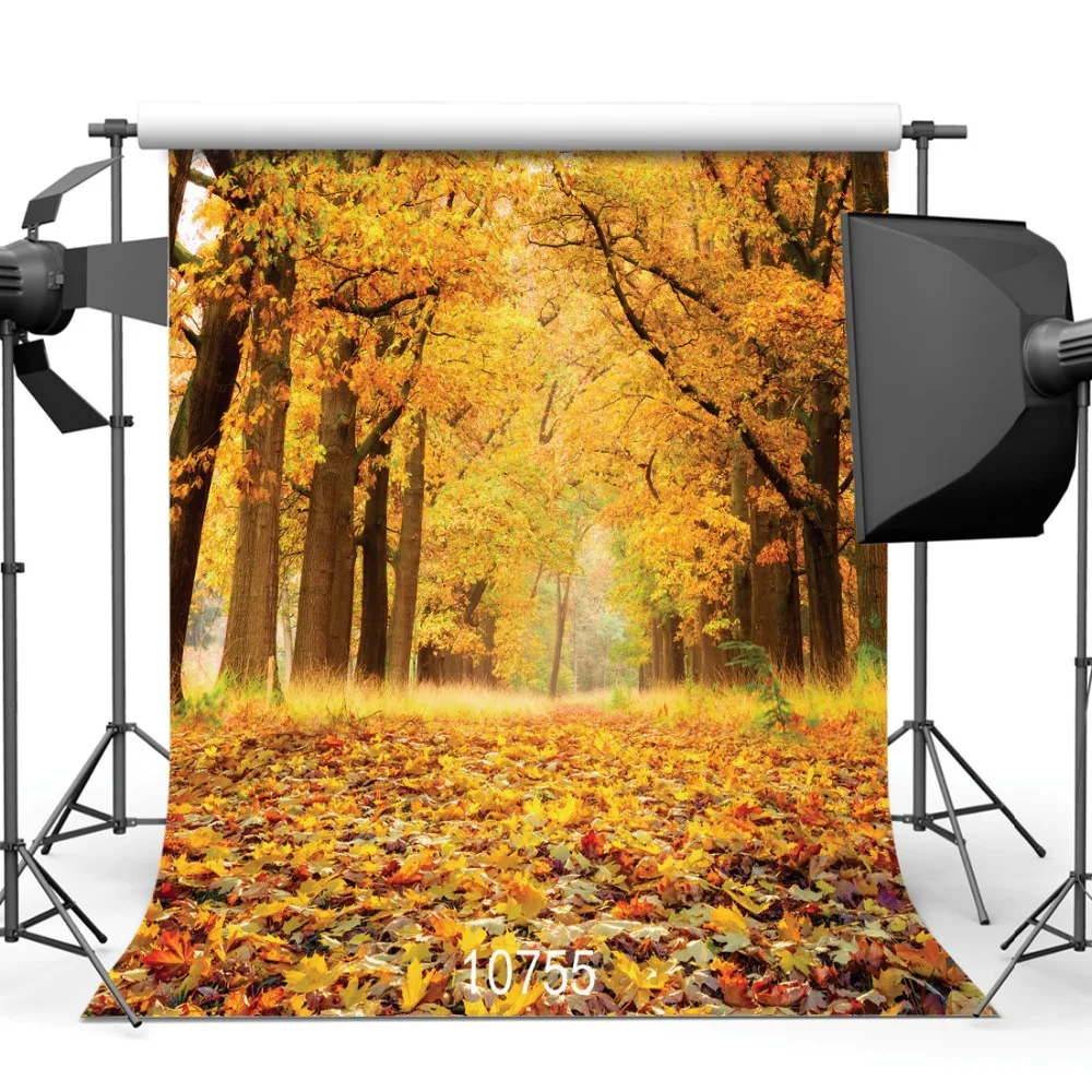 Sjoloon Autumn Photography Background Fall Leaves Photo Backdrops Lover ...