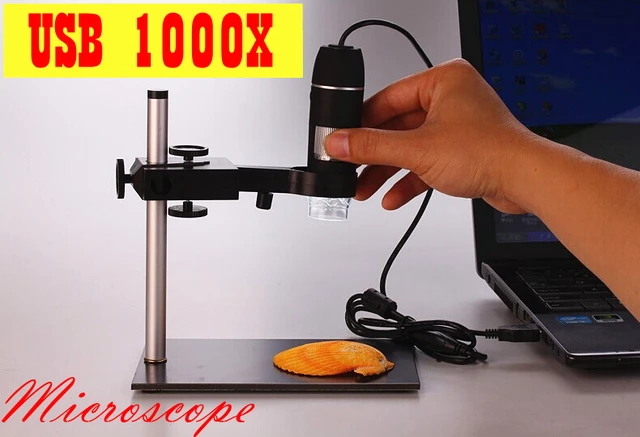 Free Usb Microscope Camera Software - baldcirclebits