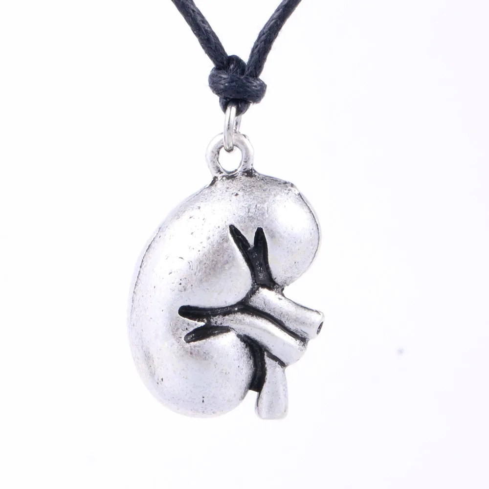 Punk Men 3D Human Science Anatomical Kidney Necklace 18*25mm Anatomy ...