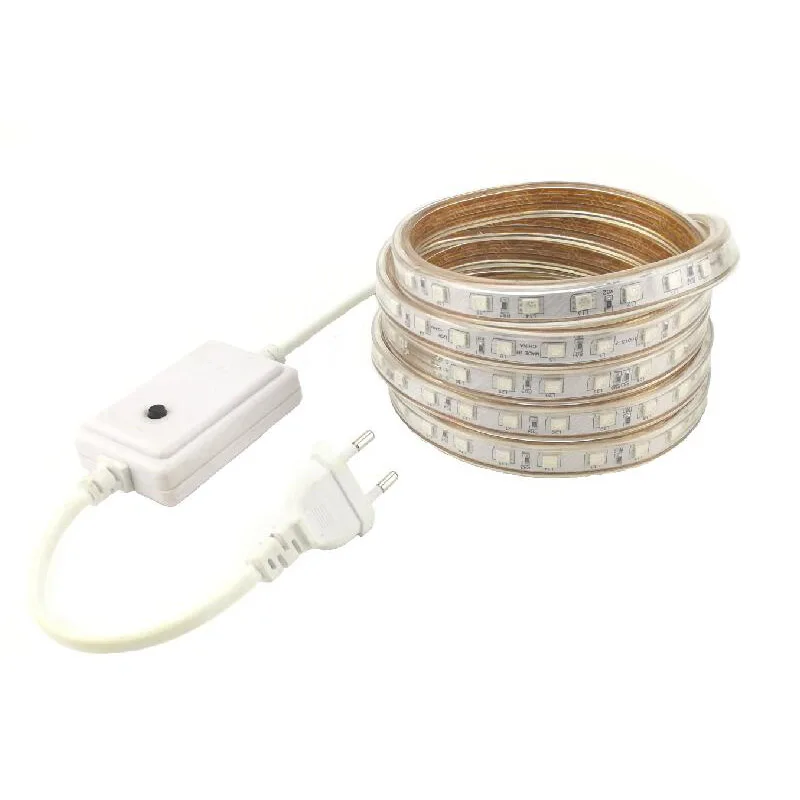 AC 220 Volt LED RGB Strip Lights Lamp 5050 60L/M with Controller Box ...