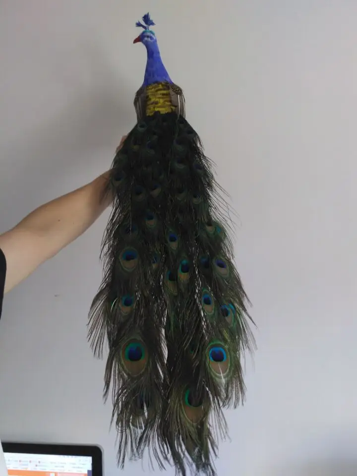 New Simulation Peacock Model Foamandfeather Beautiful Peacock Doll About 80cm In Stuffed And Plush
