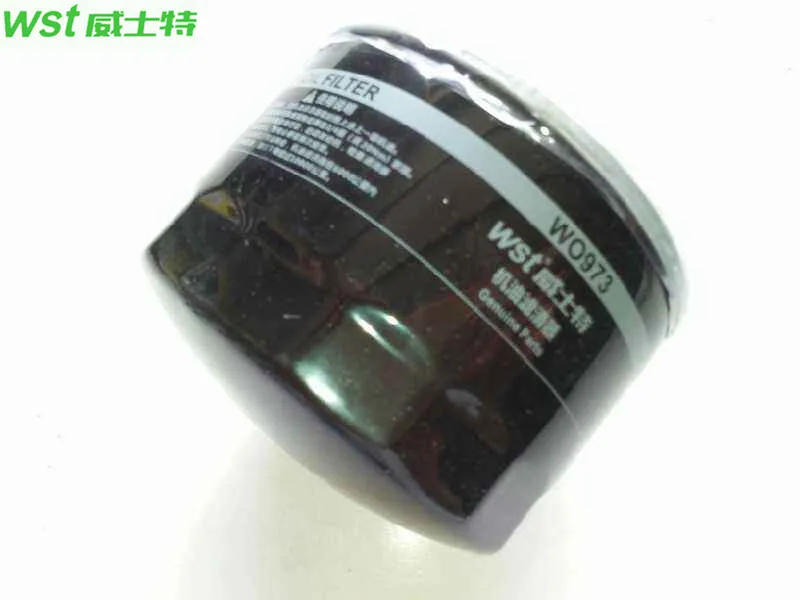 Filtro de aceite 1012200-F00-00 para paisaje DFM, 580, 1,5 T