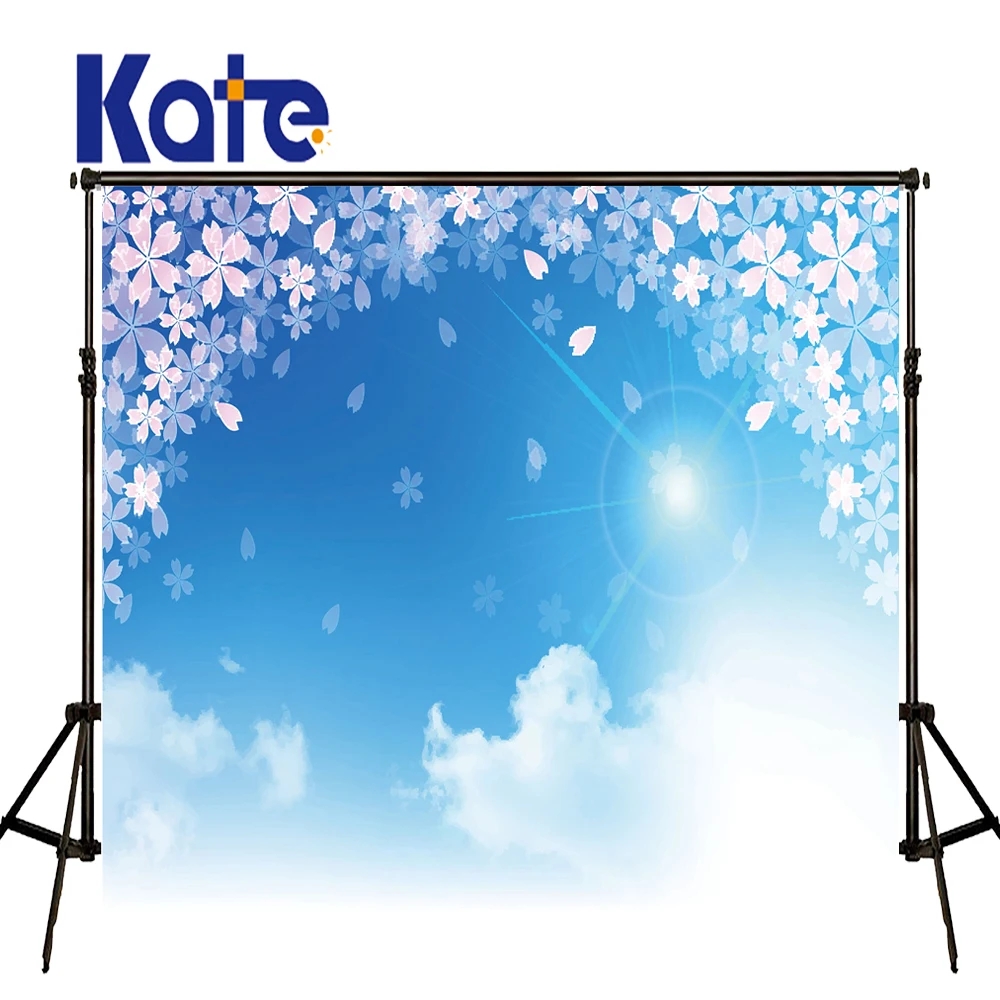 Kate Blue Sky Photography Backdrops Sunny White Clouds Background ...