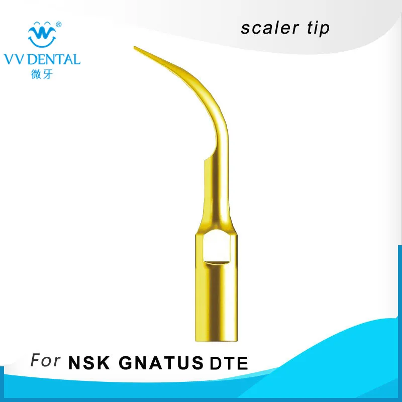 GD2T, Ultrasonic Scalerเคล็ดลับใช้งานร่วมกับSATELEC // DTEสำหรับScaler ...