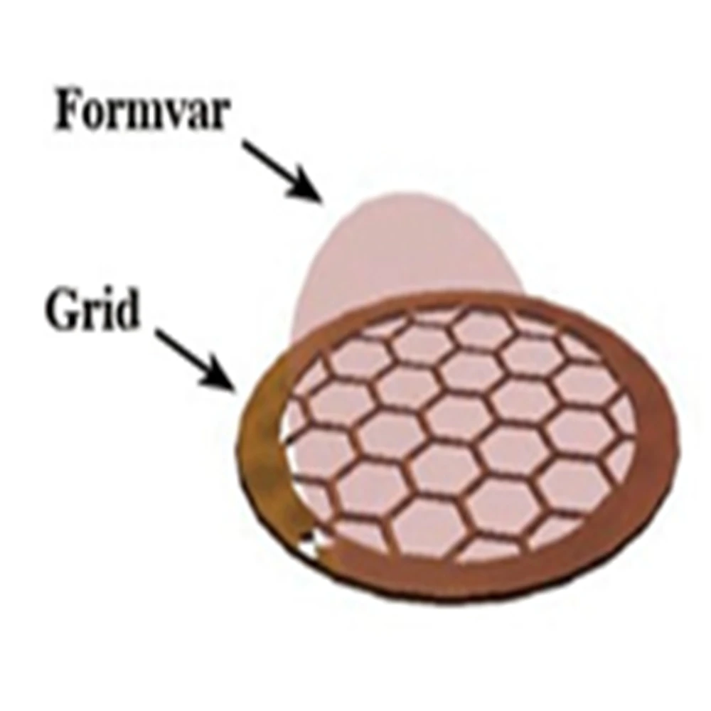 Formvar Support Films on Copper Grid for TEM EMCN®|Microscope Parts ...