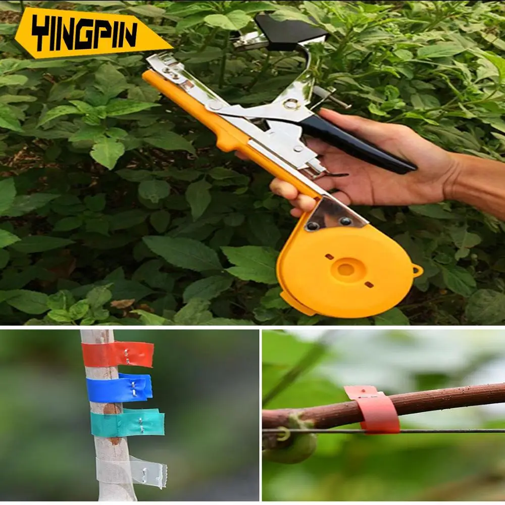 Fruit And Vegetable Tying Machine / Fruit And Vegetable Bundle / Fixed ...