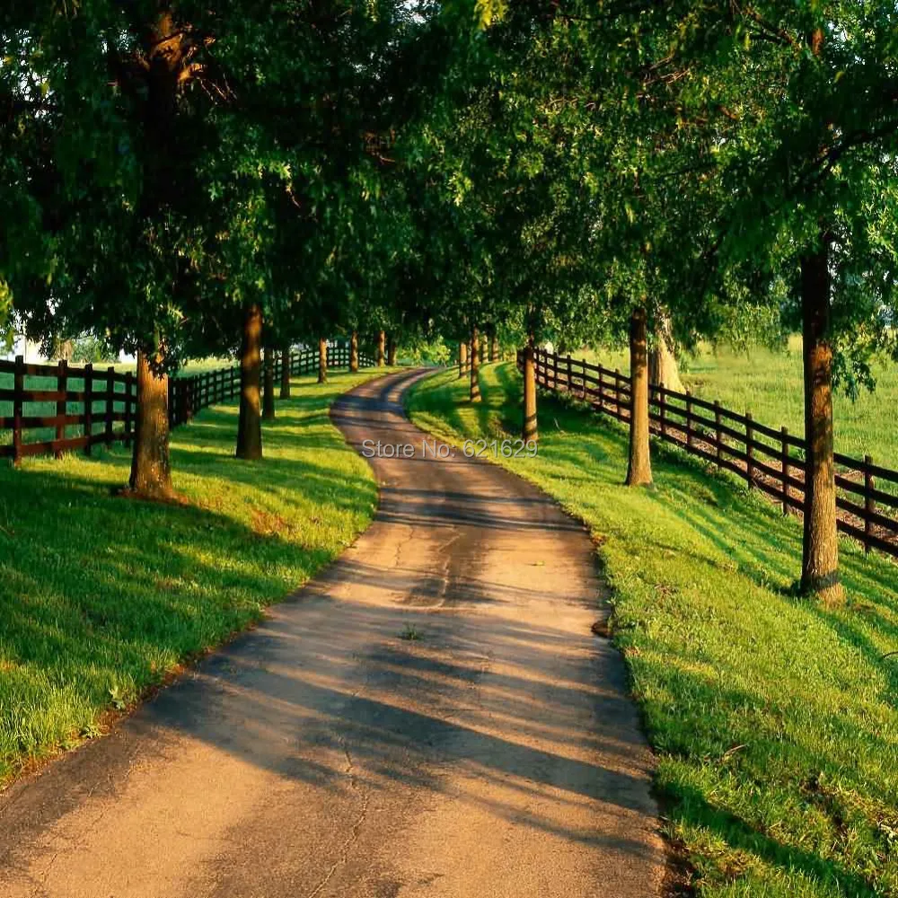 Rural Road Wallpaper 882266