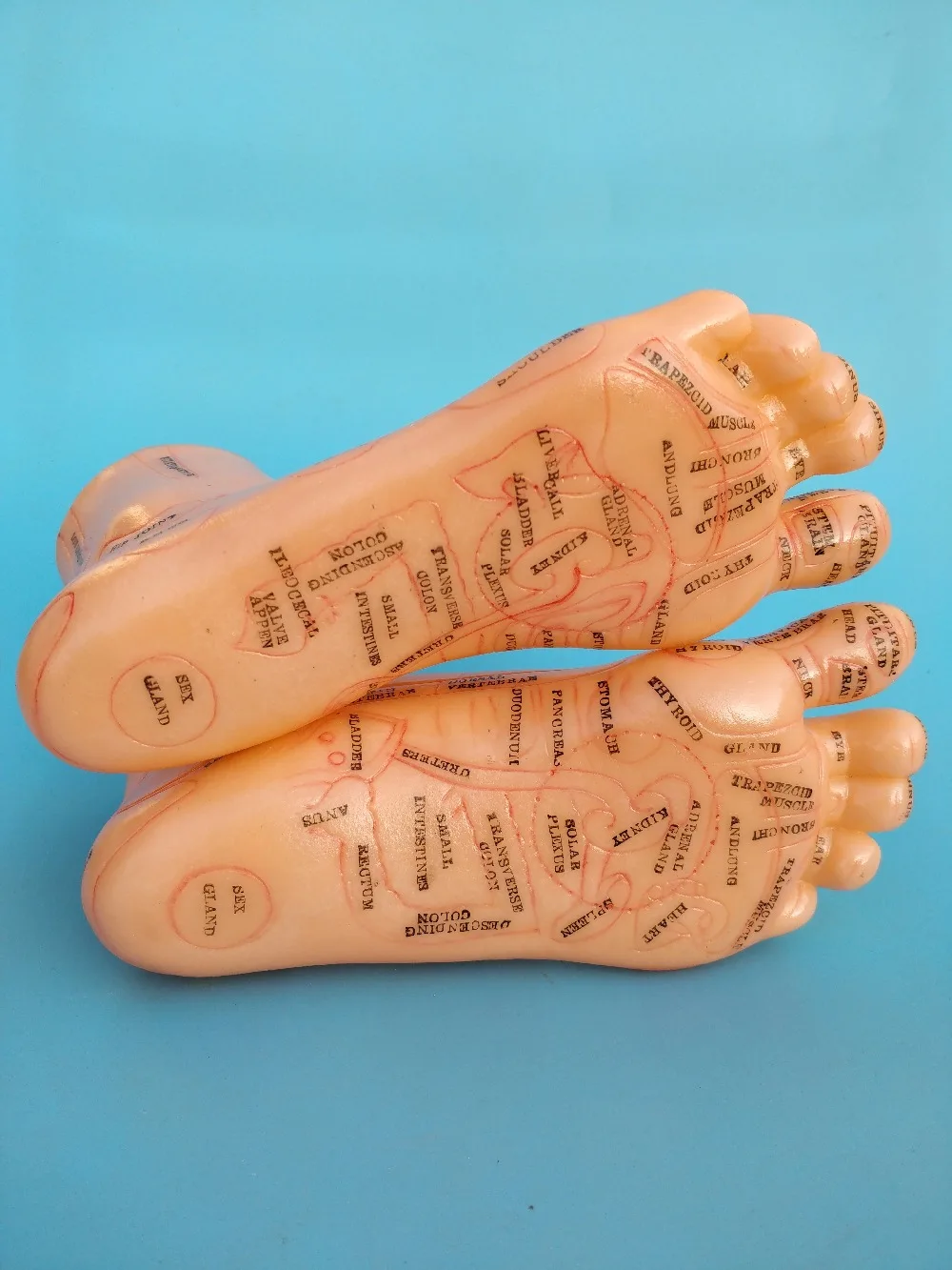 Store Home Products Feedback