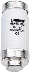 Lindner Fuse Link NEOZED 1701.035 [D02 35A]