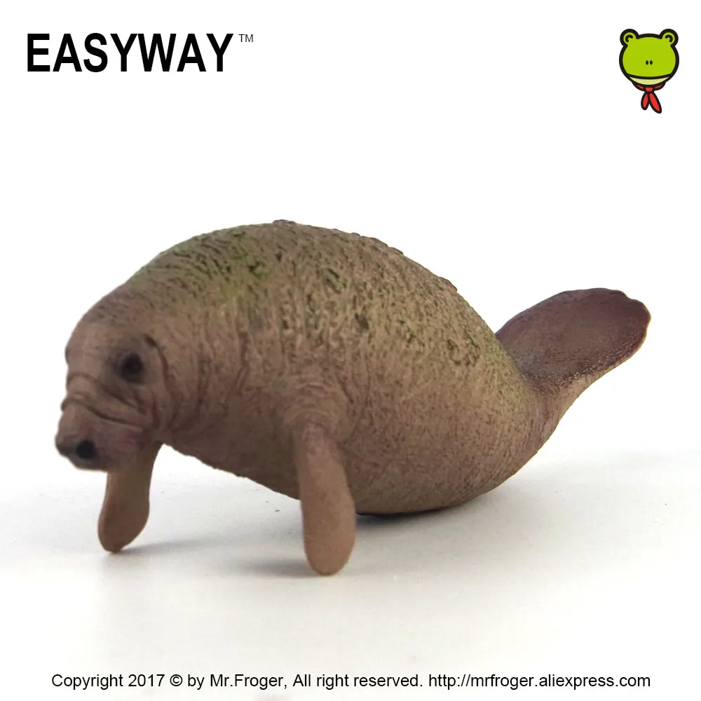 Gambar Hewan Sapi Laut - Gambar Hewan