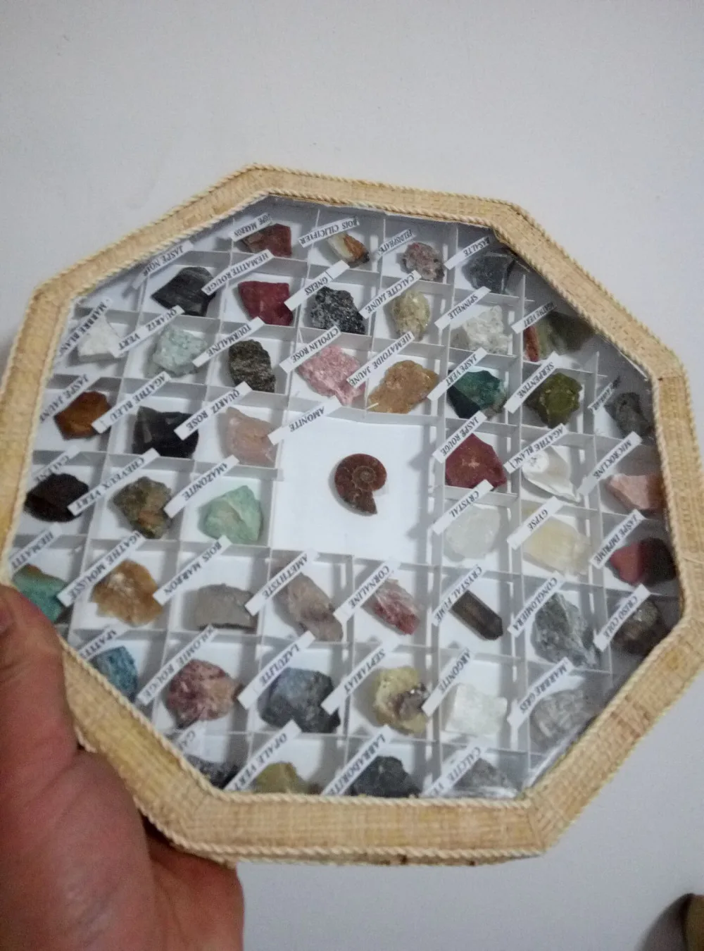 Mineral-Collection-Set-49-Different-Stone-and-Mineral-Specimen-Box.jpg