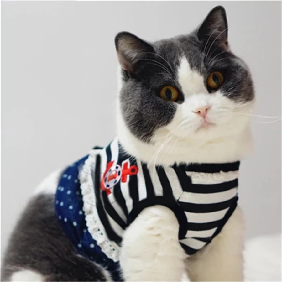 Pet Supplies Cat Clothes Cats Wear Pet Costume Svitshot Pet Shops ...