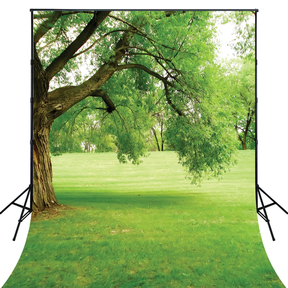 4X6ft Art Fabric Photography Newborn Forest Landscape lawn Backdrop ...