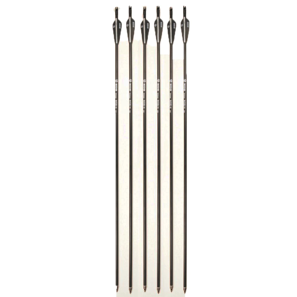 Pijlen voor boog glasvezel - Prijsconcurrent.nl