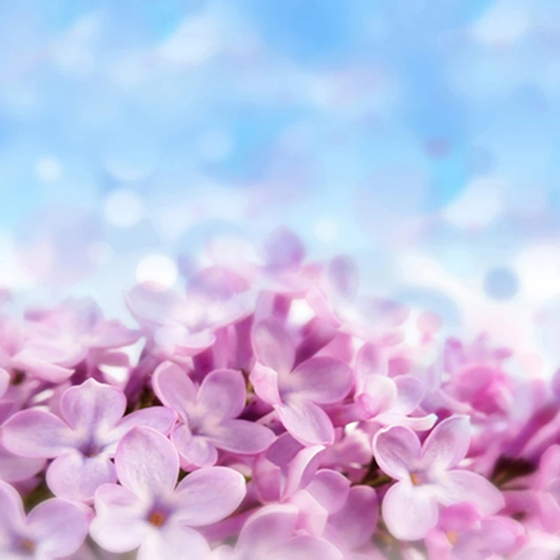 Lilac-Flowers-Baby-Newborn-Photography-Backdrops-Dreamlike-Children ...