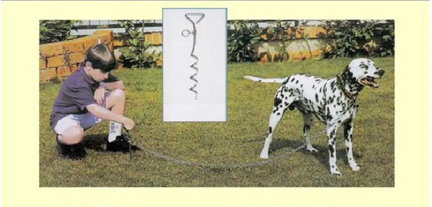 4.5m Steel Wire Dog Lead Leash And Dog Stake With Ground Screw Pet ...