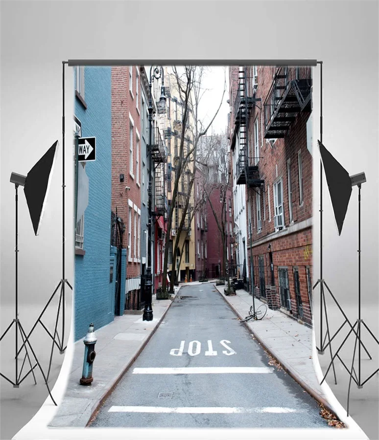Laeacco Town Houses Buildings Street Alley Photography Backdrops Vinyl ...