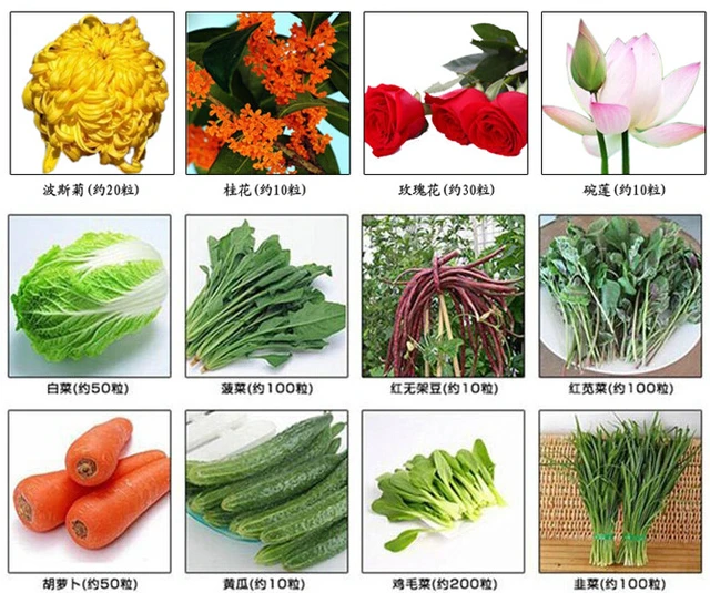 Las 7 Semillas Comestibles Ms Saludables Semillas