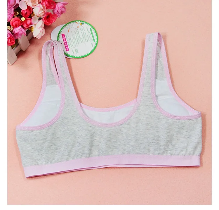 Free Shipping 2016 Feichangzimei Teenage Girl Underwear Training Bras ...