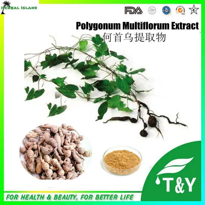 Tuber Fleeceflower Root Extract / Radix Polygonum Multiflorum Preparata ...