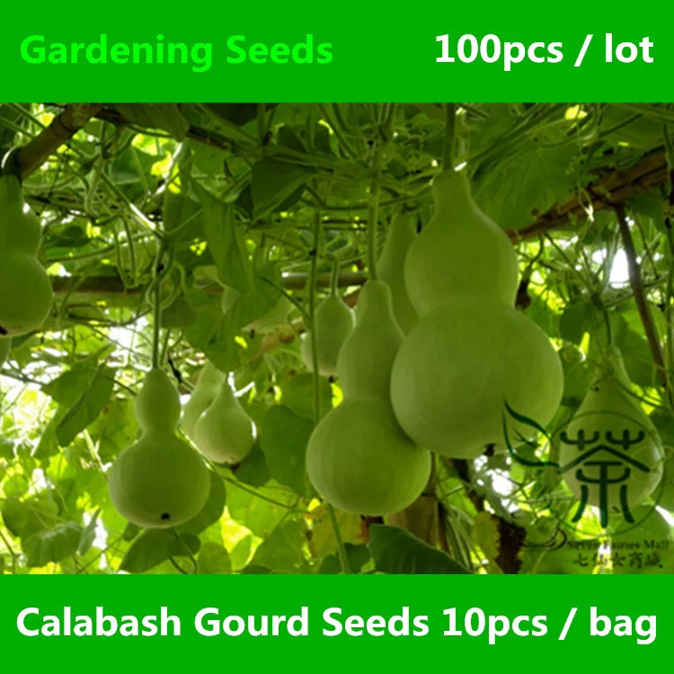 Online Buy Wholesale calabash gourd from China calabash gourd ...