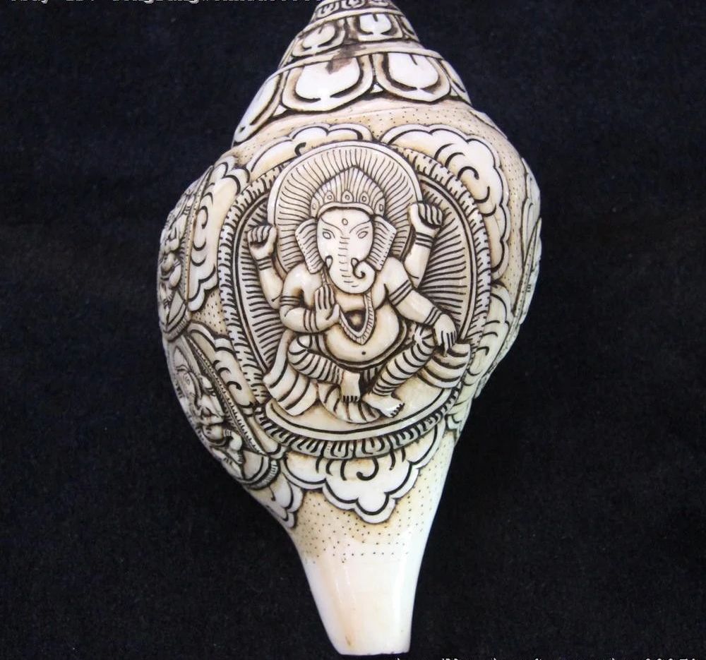 Buddhist Conch Shell