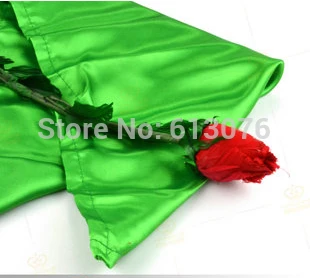 Floating Rose Magic Tricks Magician Flower Magie Stage Illusion Gimmick ...